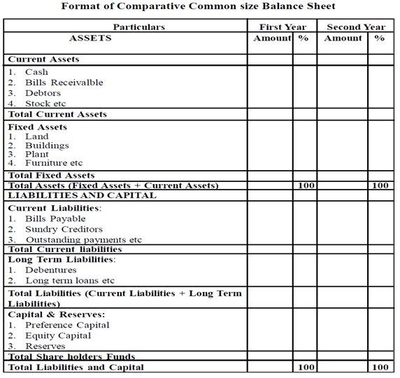 Common Size Financial Statements Accounting Basics
